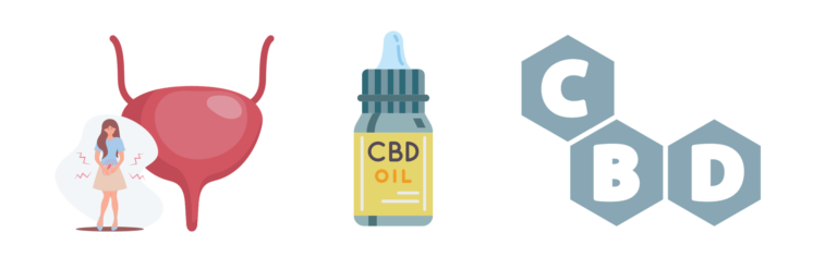 CBD OIL & THE URETHRA: EXPLORING POTENTIAL LINKS & BENEFITS | Dr. Hemp Me®