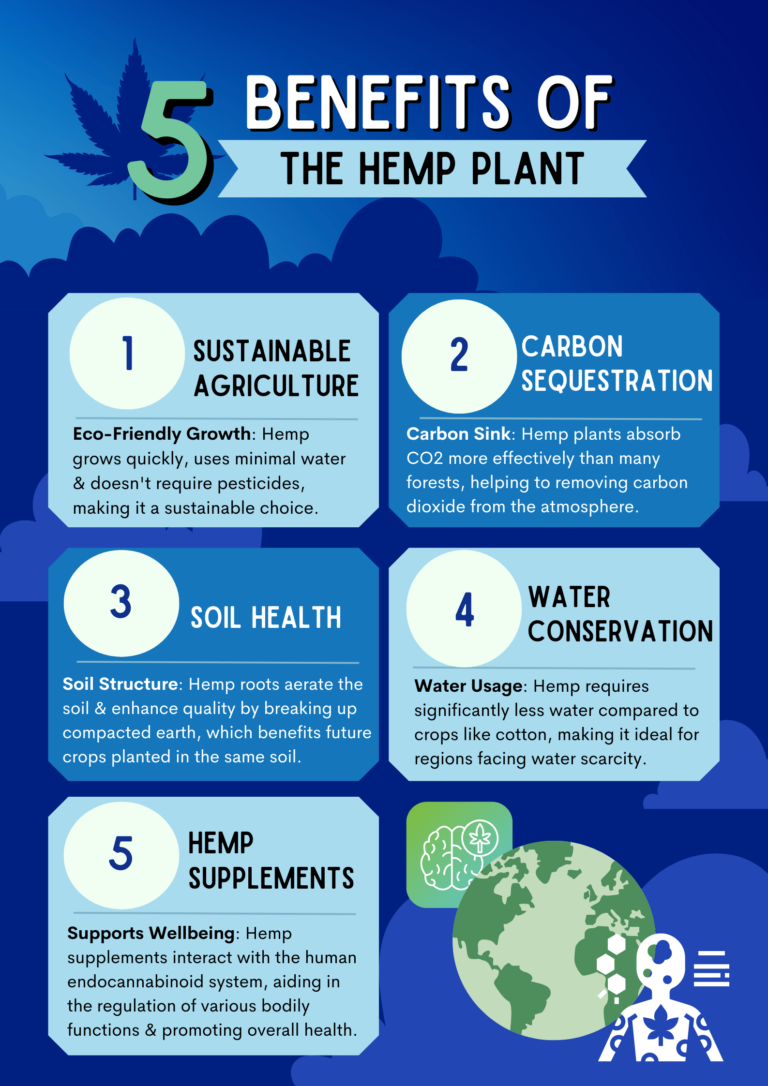 WORLD ENVIRONMENT DAY SPOTLIGHT: HEMP AS A SUSTAINABLE SOLUTION | Dr ...